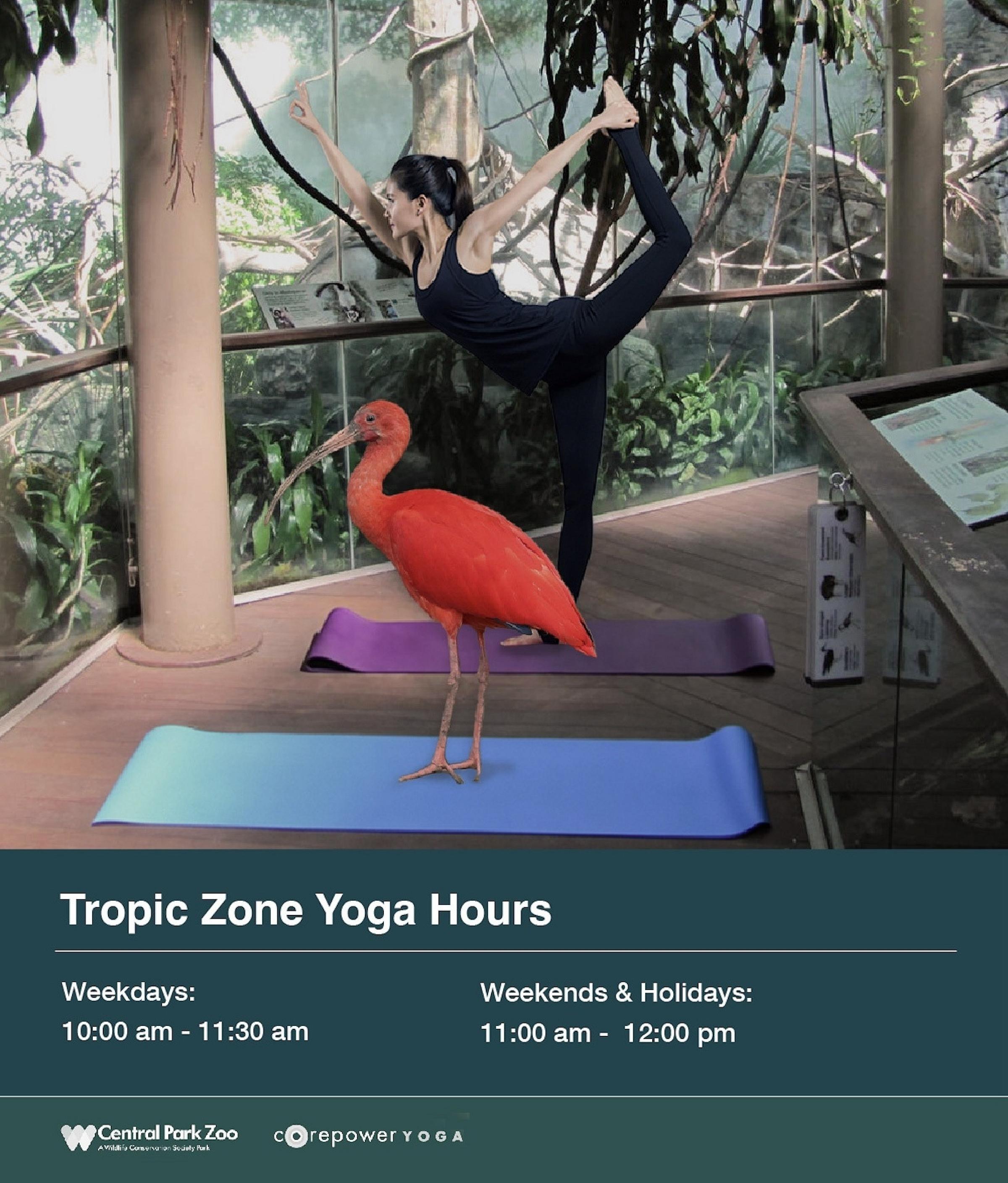 D1A | Three Ways We’re Working Out in 2024